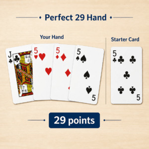Best Cribbage Hands – Highest Scoring Hands Explained